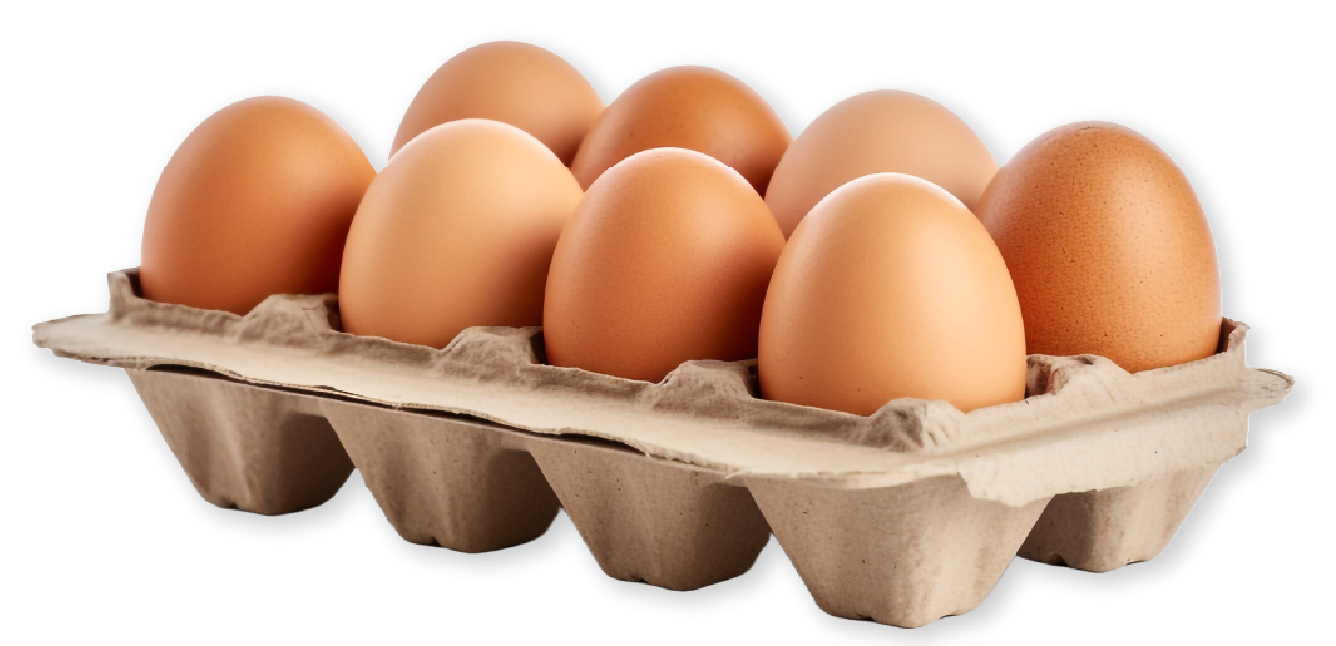 Fapet Egg - Pusat Pengembangan Ternak FAPET